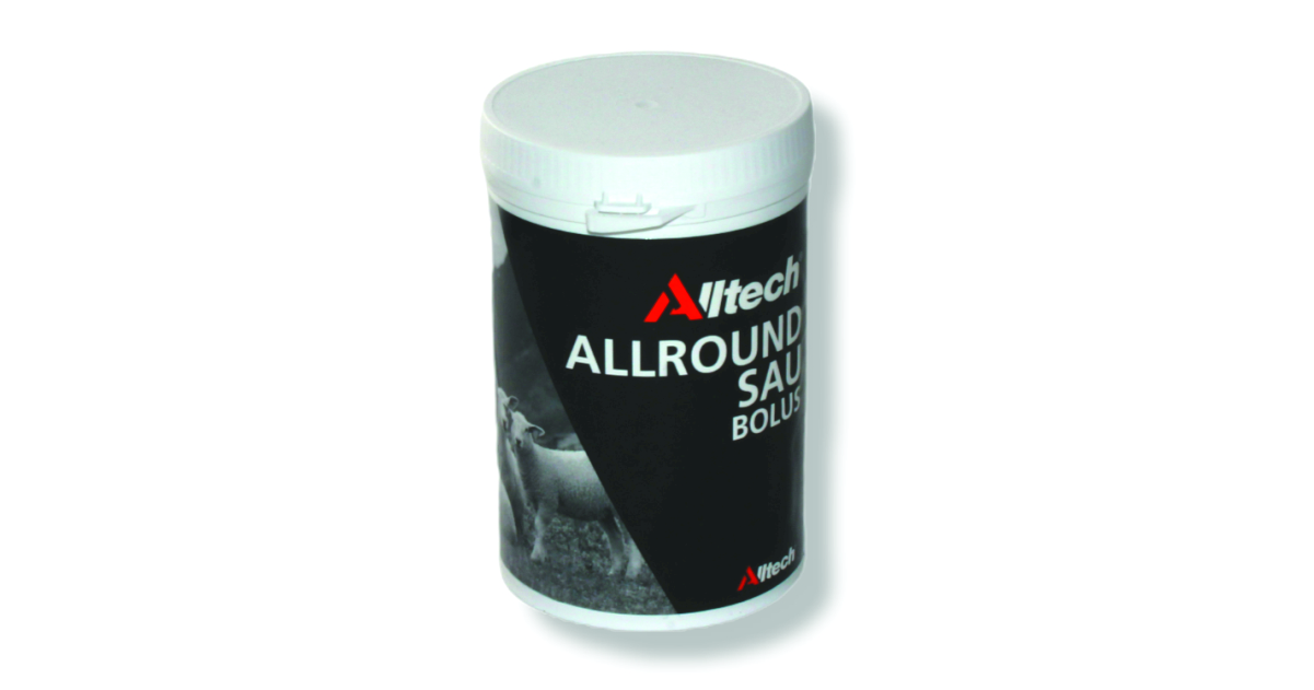 Allround Sau Bolus, 24 pk - Alltech